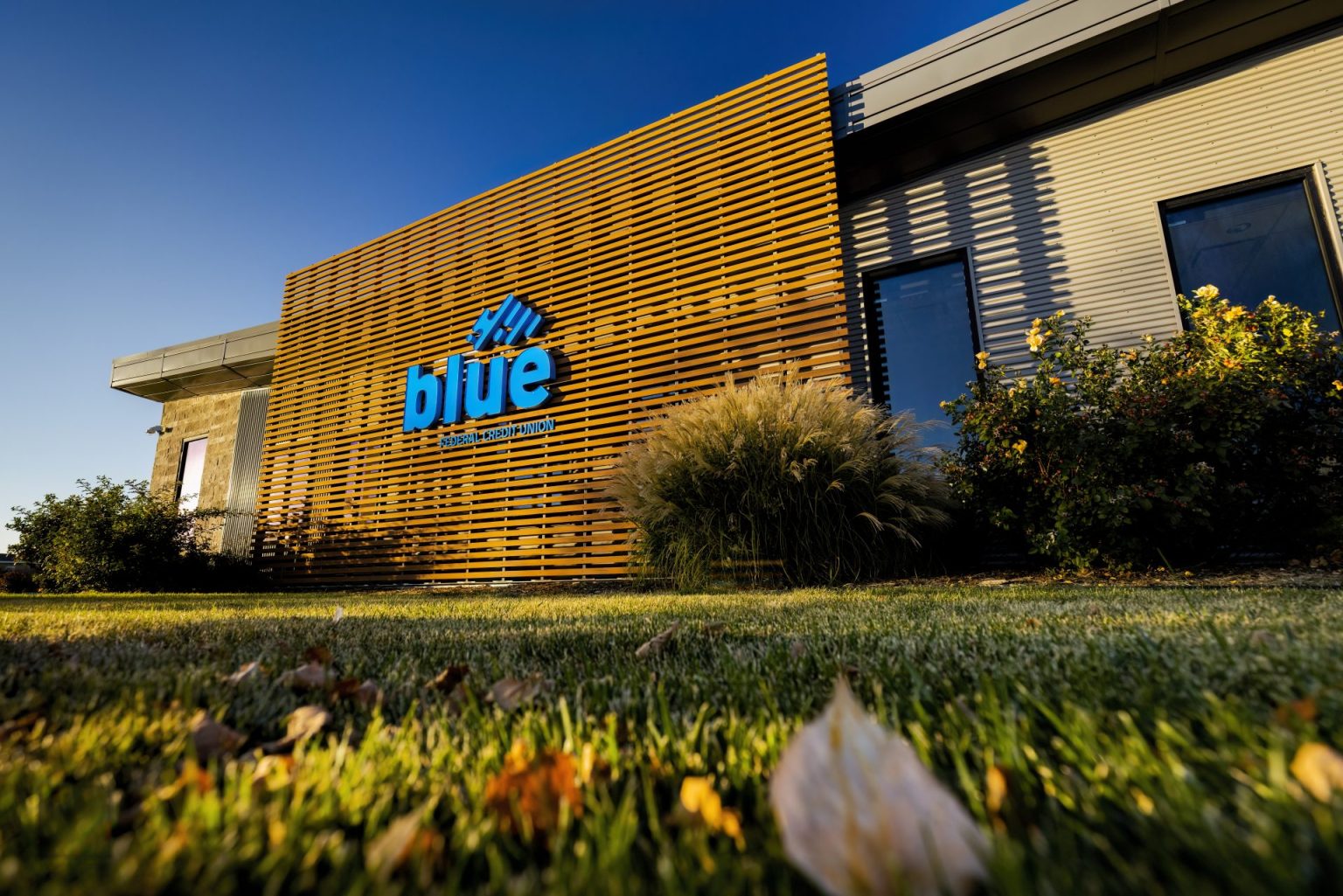 My Blue Moment | Blue FCU